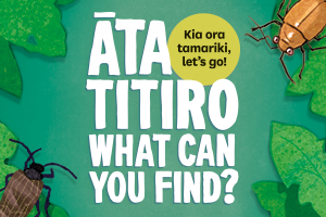 Search Results » The Arts Centre